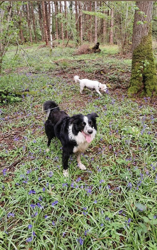 Walking With Talitha